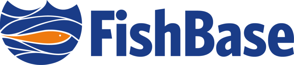 Aetobatus ocellatus - Marine Biodiversity Portal of Bangladesh