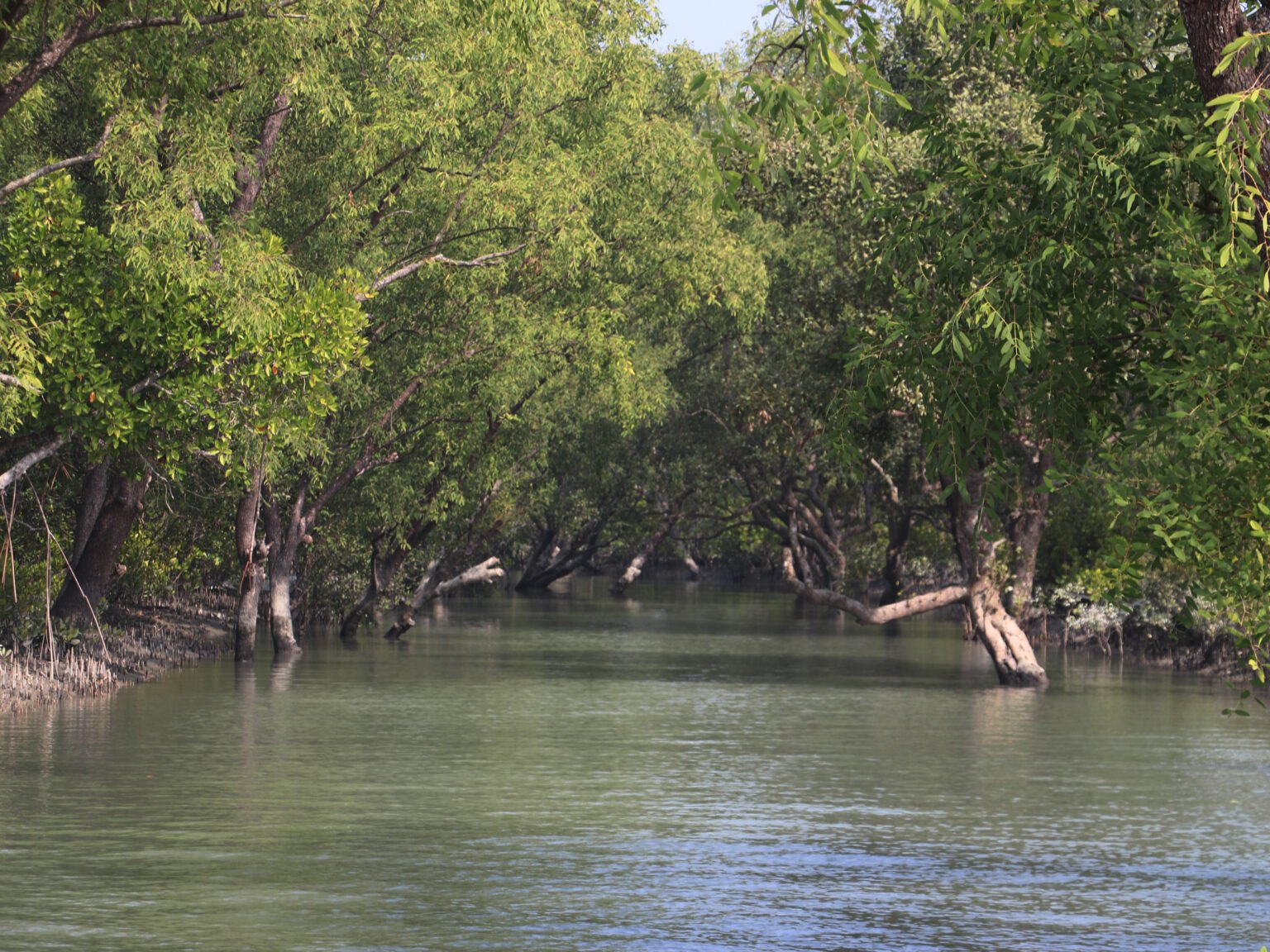 Home - Marine Biodiversity Portal of Bangladesh
