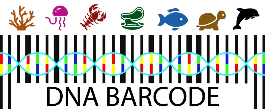 Home - Marine Biodiversity Portal of Bangladesh