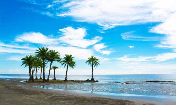 Sandy Shore - Marine Biodiversity Portal of Bangladesh